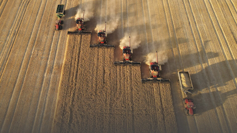 Home - Waringa Group